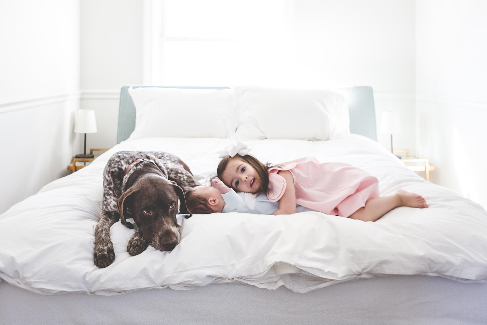 Pets & Babies | Jessica Caso Washington DC Newborn & Family Photography
