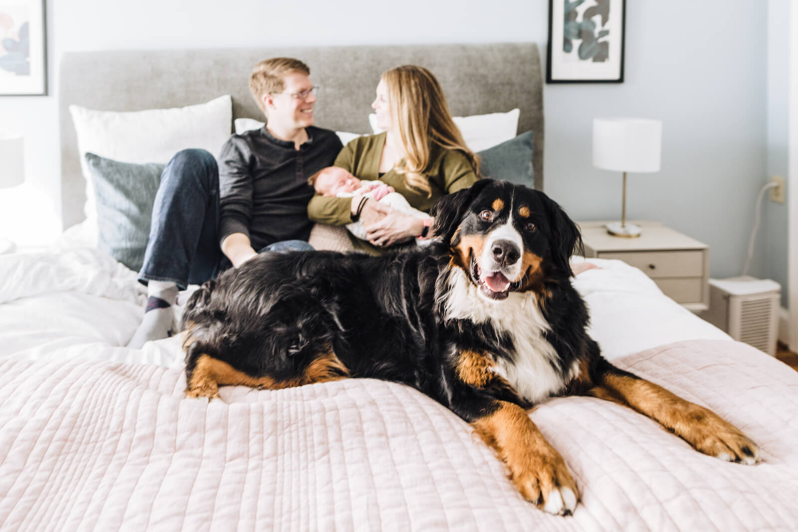 Pets & Babies | Jessica Caso Washington DC Newborn & Family Photography