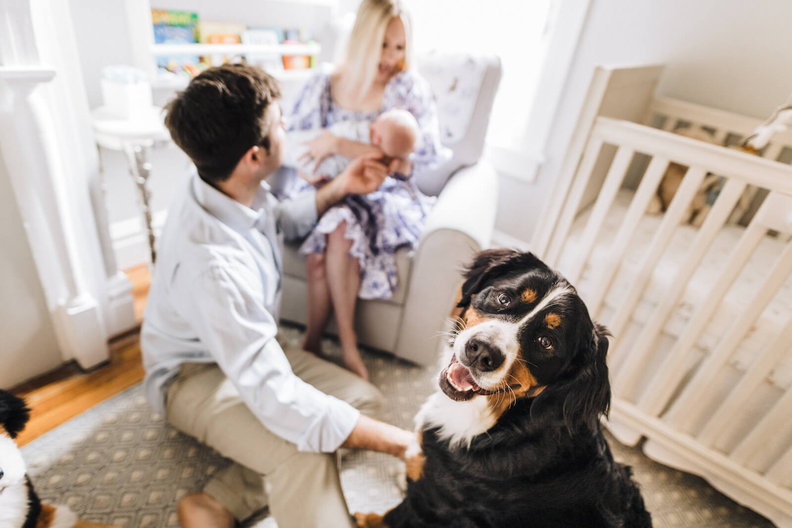 Pets & Babies | Jessica Caso Washington DC Newborn & Family Photography